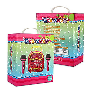 Kids Karaoke Machine with 2 Microphones for Girls Children Singing Machine Toddler Bt Karaoke Music Toy for Birthday