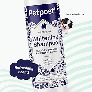 Petpost | Dog Whitening Shampoo - Best Lightening Treatment for Dogs with White Fur - Soothing Watermelon Scent - Maltese, Shih Tzu, Bichon Frise Approved 16 oz.
