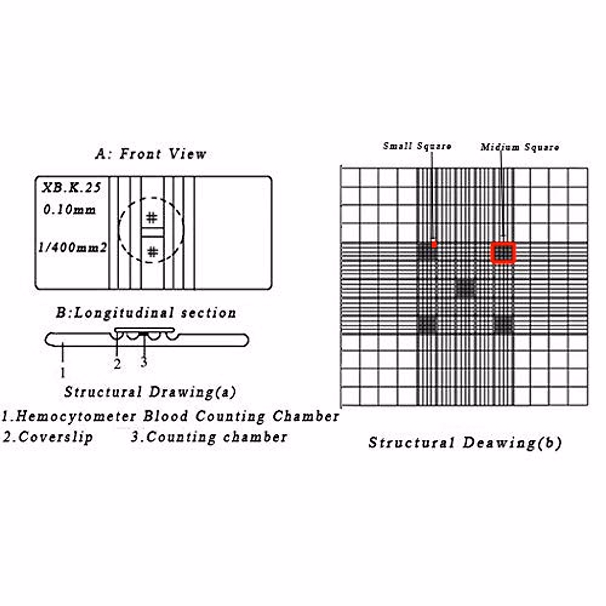 Hemocytometer Blood Counting Chamber with 100 Cover Slips Hemacytometer Blood Cell Counting