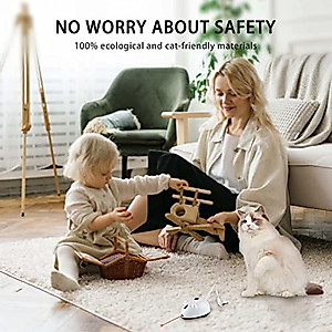 Aepiraza Cat Toys for Indoor Cats, Automatic Interactive Robotic Mice Toy with Feather Wand and LED Red Light, USB Rechargeable Motion Activated Cat Toys for Indoor Cats/Kittens/Puppies - Black