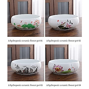 Nautance Beautiful 8-inch Ceramic Pot for Succulents and Indoor Plants,Planters for Succulents, Flower Pots for Your Home Decor or Office