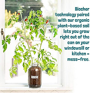 Back to the Roots Cherry Tomato Organic Windowsill Planter Kit - Grows Year Round, Includes Everything Needed For Planting