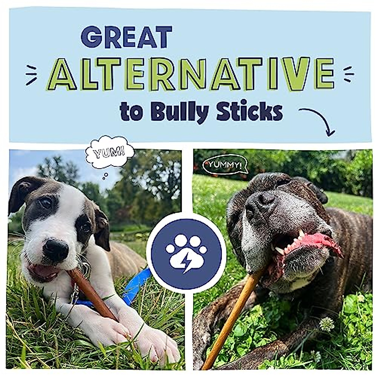 Pawstruck All Natural 11-12" Roasted Collagen Sticks for Dogs - Low Odor & Long Lasting Alternative to Bully Sticks and Rawhide Chews - Grain Free, Single Ingredient & Vet Approved - 5 Pack