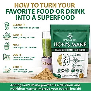 Lions Mane Mushroom Powder Organic Supplement - (USA Grown), Fruiting Body Extract, Nootropic Brain Supplement for Focus & Memory Support, Creativity, Brain Booster | 3.5 Ounces (50 Servings)