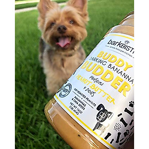 BUDDY BUDDER Bark Bistro Company, Superberry Snoot + Barkin Banana + Pumpkin Pup, 100% Natural Dog Peanut Butter, Healthy Dog Treats - Made in USA (Set of 3 / 17oz)
