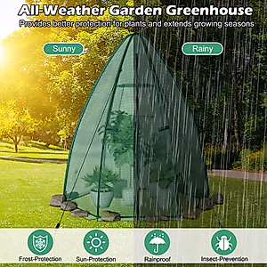 Safstar Portable Mini Greenhouse, Garden Greenhouse W/ All-Weather PE Cover, Roll-up Door, Mesh Window, Outdoor Plant Greenhouse for Cold & Frost Protection, Garden Tent for Pot Plant, 63" x 63" x 72"