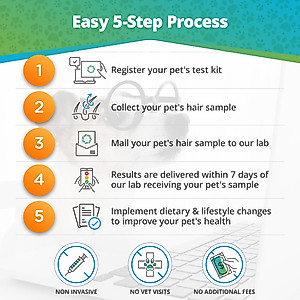 5Strands Pet Food Intolerance Test, at Home Sensitivity Test for Dogs & Cats, 289 Items, Hair Analysis, Accurate for All Ages and Breed, Results in 5 Days - Protein, Grain, Preservatives