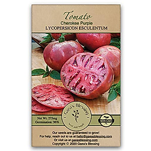 Gaea's Blessing Seeds - Tomato Seeds - Cherokee Purple Slicing Tomato - Non-GMO Seeds with Easy to Follow Planting Instructions - Open-Pollinated 96% Germination Rate