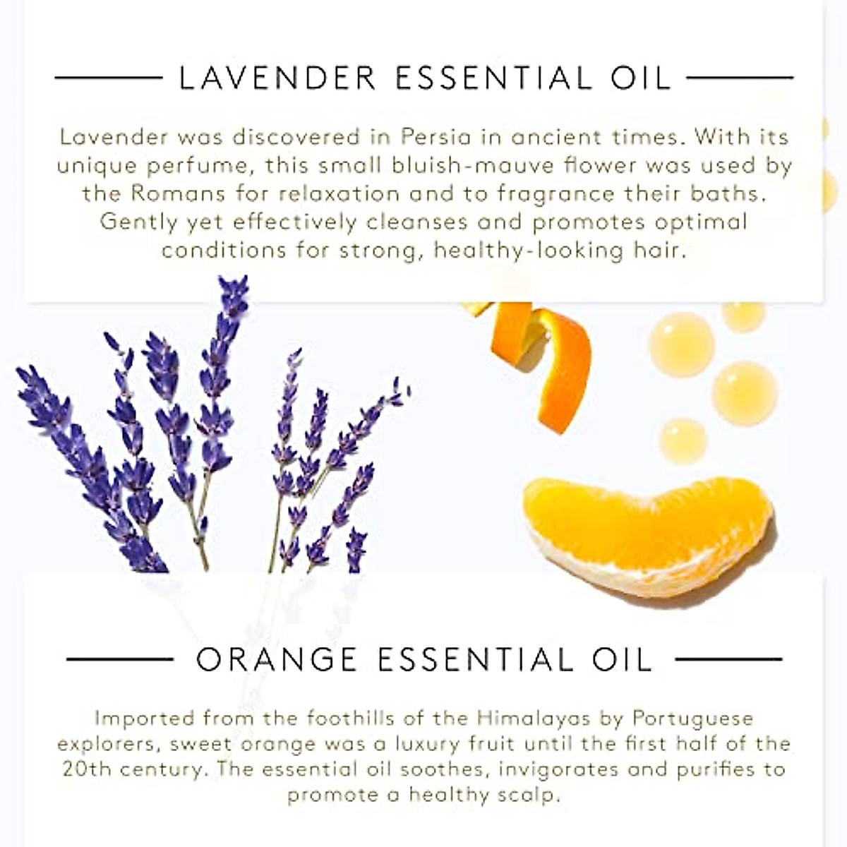 Rene Furterer COMPLEXE 5 Stimulating Plant Concentrate - Pre-Shampoo Detox Scalp Treatment - Orange & Lavendar Essential Oils - 1.6 fl. oz.