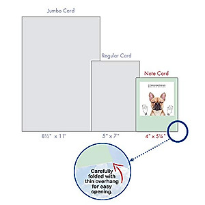 The Best Card Company - 10 Boxed Thank You Cards w/Envelopes, Animal Appreciation Stationery Set for Men Women Kids - Dogs & Doodles M6582TYG