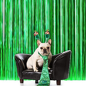 WILLBOND 6 Pieces Green Foil Curtain Metallic Tinsel Foil Backdrop Fringe Curtains St. Patrick's Day Foil Curtain Shimmer Curtain for Irish Festival Birthday Wedding Party Decoration, 3.3 x 8.2 Feet