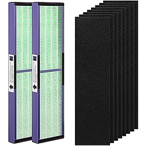 2 Pack FLT4825 True HEPA Filter B Replacement Compatible with Germ Guardian AC4825 AC4850PT