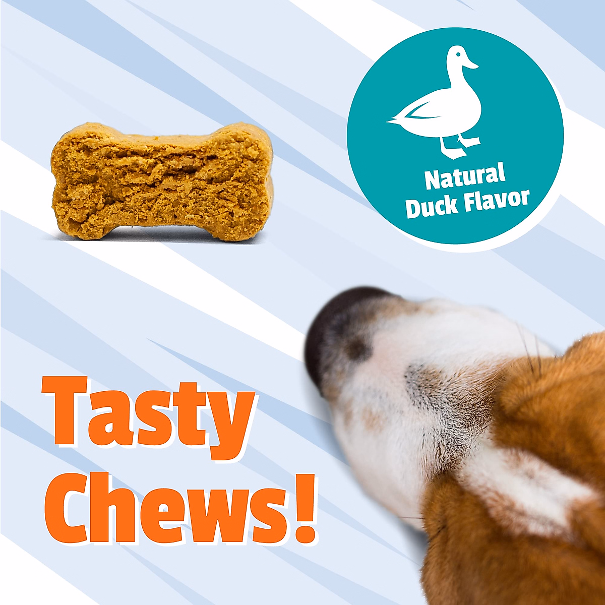 Pet Naturals Allergy Plus Calming Supplement for Dogs, Soft Chew, Duck Flavor, 60 Ct.