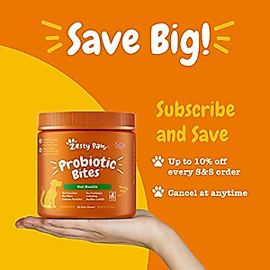 Zesty Paws Probiotics for Dogs - Digestive Enzymes for Gut Flora, Digestive Health, Diarrhea & Bowel Support - Clinically Studied DE111 - Dog Supplement Soft Chew for Pet Immune System - Pumpkin