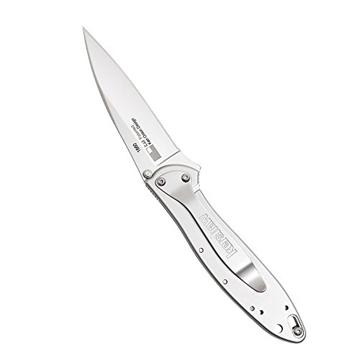 Kershaw Leek Pocket Knife, 3" 14C28N Stainless Steel Drop Point Blade, Spring Assisted Knife, Folding EDC