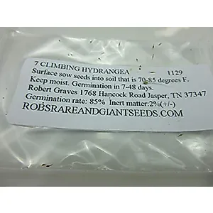1129-Climbing Hydrangea (Hydrangea petiolaris) Seeds by Robsrareandgiantseeds UPC0764425787358 Non-GMO,Organic,- U.S.A. Grower,Bonsai -1129 Package of 7 Seeds