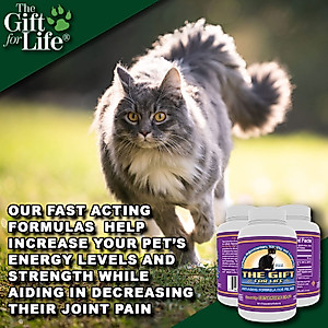 The Gift for Life Feline: Prrr-fect Wellness - Your Pet's Fountain of Youth!
