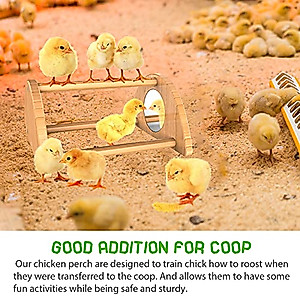 Ensayeer Mini Chick Perch with Mirror, Strong Bamboo Roosting Bar for coop and brooder, Training Perch for Baby Chicks, El Pollitos, La Pollita, Easy to Assemble and Clean, Fun Toys for Chick
