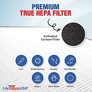 LifeSupplyUSA True HEPA Replacement Compatible with GermGuardian FLT5000/FLT5111 AC5000 Series Air Cleaners, Filter C