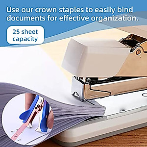 30000 Pieces B8 Crown Staples Standard Staples Heavy Duty Staples 1/4 Inch Leg Length for B8 Staplers Home School Office
