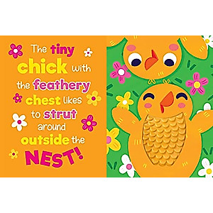 Funny Farm Animals - Silicone Touch and Feel Board Book - Sensory Board Book