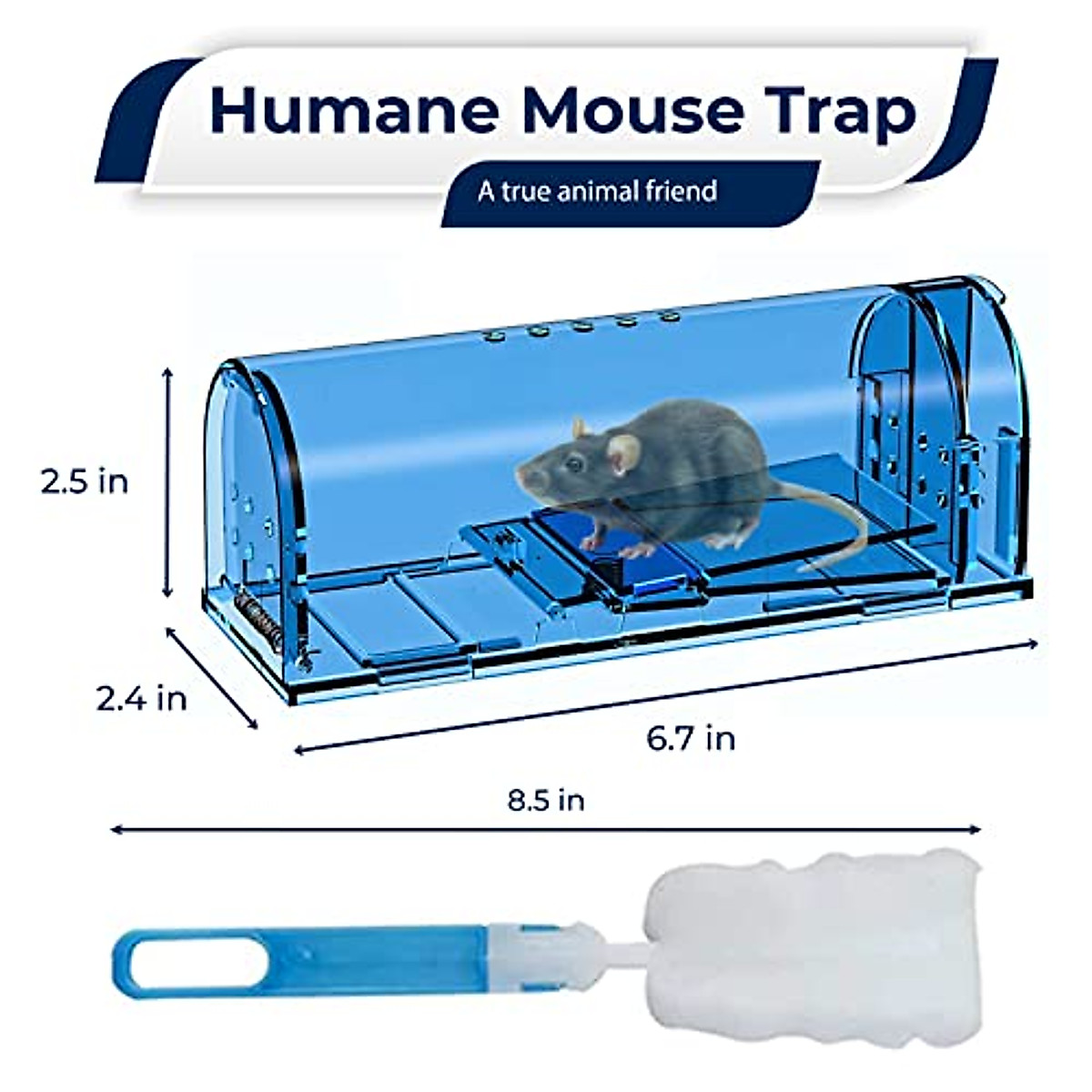 Humane Mouse Traps Indoor for Home/Outdoor, Live Catch and Release Mice Traps, No Kill Mouse Catcher, Easy to Set and Reusable Humane Trap, Safe for Families and Pets 4 Pack Blue