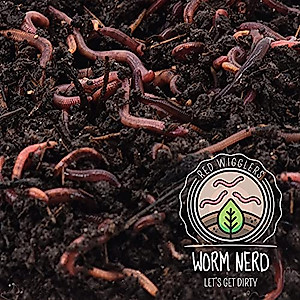Worm Nerd Red Wiggler Live Worms, Composting Worms for Vermiculture/Composting - 100 Pack ***Cannot Ship to Hawaii***