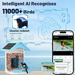 AUXCO Bird Feeder with Camera, 2023 Newest Dual Solar Panels Charging Smart Bird Feeder Camera, AI Identify 11000+ Bird Species, Auto Capture Bird Videos & APP Notify Video Bird Camera for Bird Lovers