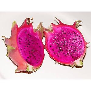 2 PURPLE DRAGON FRUIT cutting plant (9 Inch)