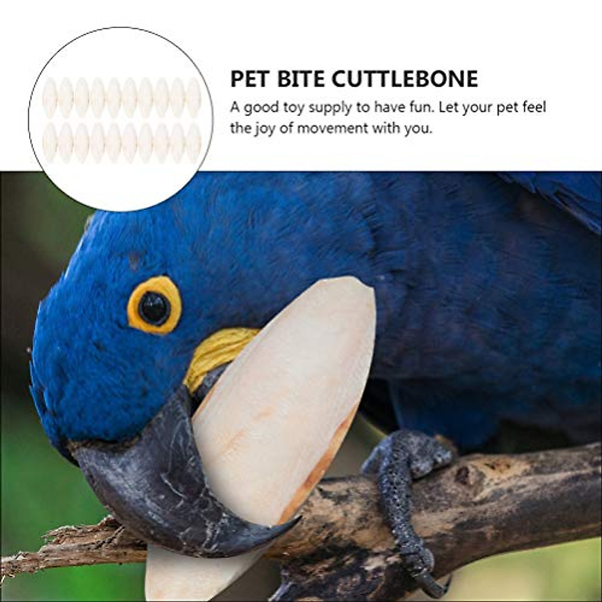 ULTNICE Natural Bird Cuttlebone Pet Chewing Cuttlefish Bone Birds Calcium Bone for Reptiles Tortoises Snails Small Animals ( 20pcs )