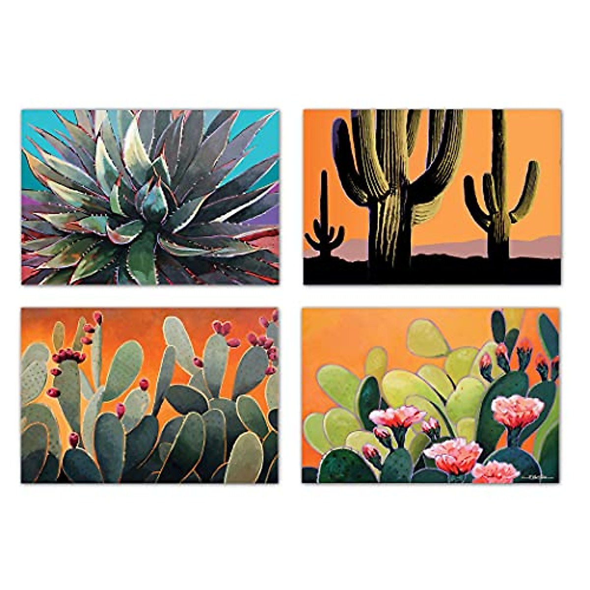 Stonehouse Collection Cactus Postcards - 4 x 6 Western Desert Postcards - 40 Postcards, 4 Different Cacuts Designs