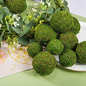 18 Pack Decorative Faux Dried Moss Balls- 6pcs 3.1" Artificial Green Plant Mossy Globes+ 12pcs 2.2" Handmade Sphere Moss Hanging Balls for Home Garden Decors Party Wedding Display Supplies Photo Props