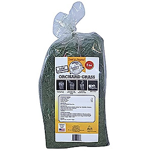 Grandpa's Best Orchard Grass Bale, 5 lbs,green