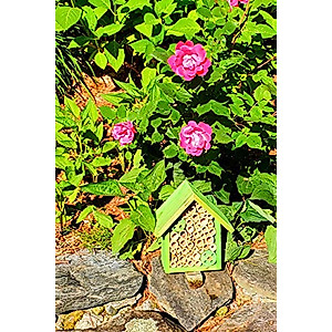 Rose Pink and Green Mason Bee House for The Garden Bundle - Lifetime Replacement Guarantee