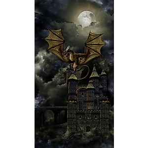 Dragon's Lair by Timeless Treasures Multicolor Dragon Castle Cotton Quilt Fabric Panel 24"" x 44"", CD2494-GREY