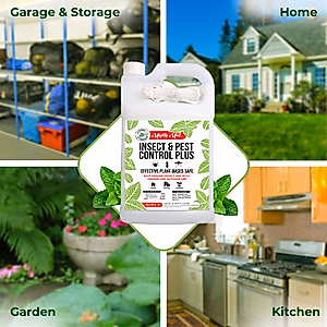 Mighty Mint Insect & Pest Control Plus – Natural Mint Oil Insect Killer Spray, 1 Gallon