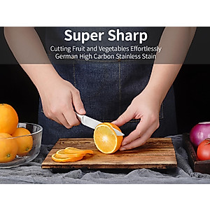 Hollory 5 Inch Kitchen Utility Knife, German High Carbon Stainless Steel Blade and Full Tang Handle, Fruit and Vegetable Cutting Chopping Carving Knives-Silver