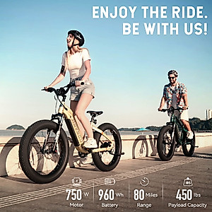 HOVSCO Electric Bike, 26"x 4" Fat Tire Ebike for Adults, 750W Motor Torque Sensor Mountain Bike 28Mph, 48V 20Ah Removable Battery 80Miles Adult Electric Bicycle, 7 Speed Gear, Hydraulic Disc Brake