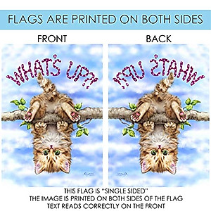 Toland Home Garden 1110807 What's Up Cat Flag 12x18 Inch Double Sided Cat Garden Flag for Outdoor House Kitten Flag Yard Decoration