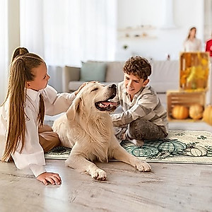 Tailus Hello Pumpkin Teal White Fall Kitchen Rugs Set of 2, Blue Autumn Plaid Check Truck Kitchen Mats Decor, Farmhouse Thanksgiving Floor Door Mat Home Decorations - 17x29 and 17x47 Inch