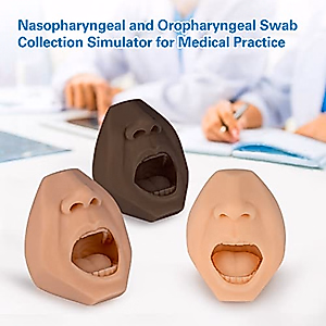 SimCoach Nasal Swab, Throat Swab Test Training Model, Swab Collection Simulator, Saliva Oral Swab, Acupuncture, Puncture Practice Model (Brown)