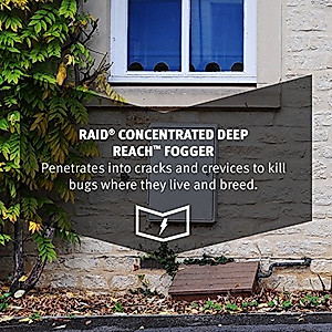 Raid Concentrated Deep Reach Fogger (Pack - 1)