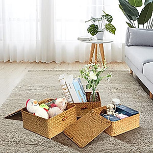 SHEYRAJIIA 3 Pack Cube Seagrass Storage Bins with Lids, Rattan Woven Decorative Storage Boxes, Wicker Storage Baskets for Shelves, Storage Containers for Organizing, Toys, Clothes and Hobby Things