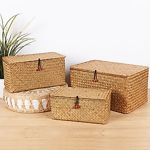 Moosky Wicker Shelf Baskets with Lid,Natural Seagrass Storage Basket Boxes Handwoven Rectangular Baskets Bins Multipurpose Home Organizer Decor (Large)