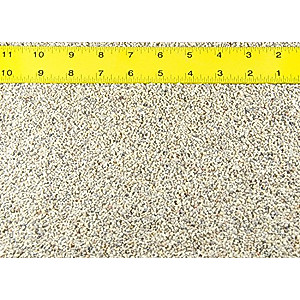 1 Quart Coarse Sand for Succulent, Bonsai Tree & Carnivorous Plant Soil Mix
