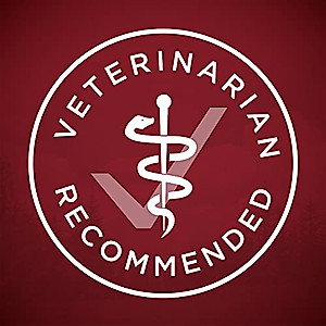 Purina ONE High Protein Wet Dog Food True Instinct Tender Cuts in Dog Food Gravy With Real Beef and Bison - (Pack of 12) 13 oz. Cans