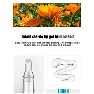 Sonew Lip Lock, Makeup Lipstick Sealer, Lipstick Fixed Color Raincoat, Lip, Lasting Unfading Lipstick Raincoa t-4g