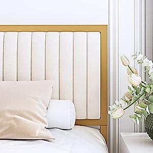 HIFIT King Size Bed Frame, King Bed Frame and Headboard, Heavy Duty Metal Foundation, Upholstered Bed Frame with Velvet Tufted Headboard, Wood Slats Support, No Box Spring Needed, Gold and Ivory White