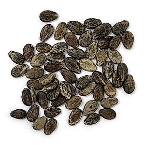 Organic Watermelon Seeds (Crimson Sweet) - Approx 12 Seeds - USDA Organic, Non-GMO, Open Pollinated, Heirloom, USA Origin