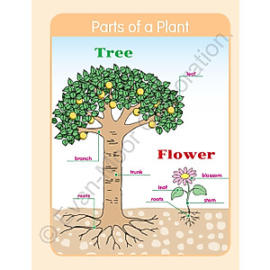 Take It to Your Seat Science Centers, Grades PreK-K